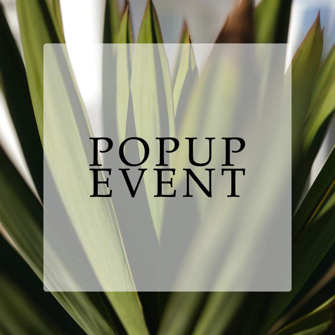 TENT × C+ POP-UPイベント開催 – FACE SANS FARD